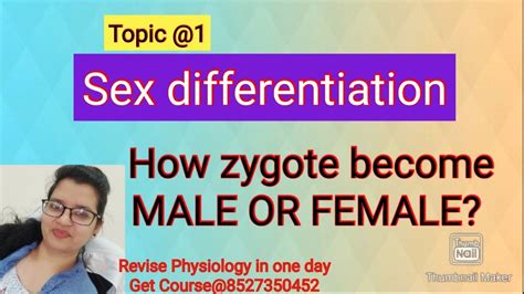 Sex Differentiation Physiology Youtube