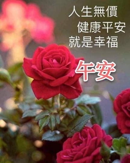 午安 E123長青網 長者服務及老人院資訊
