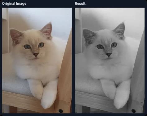 Using Albumentations Augmentations To Diversify Your Data