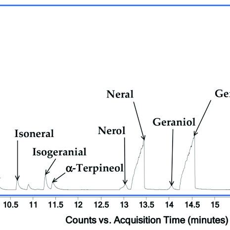 GC MS Chromatogram Obtained On An HP Capillary Column Of C Limon Download Scientific