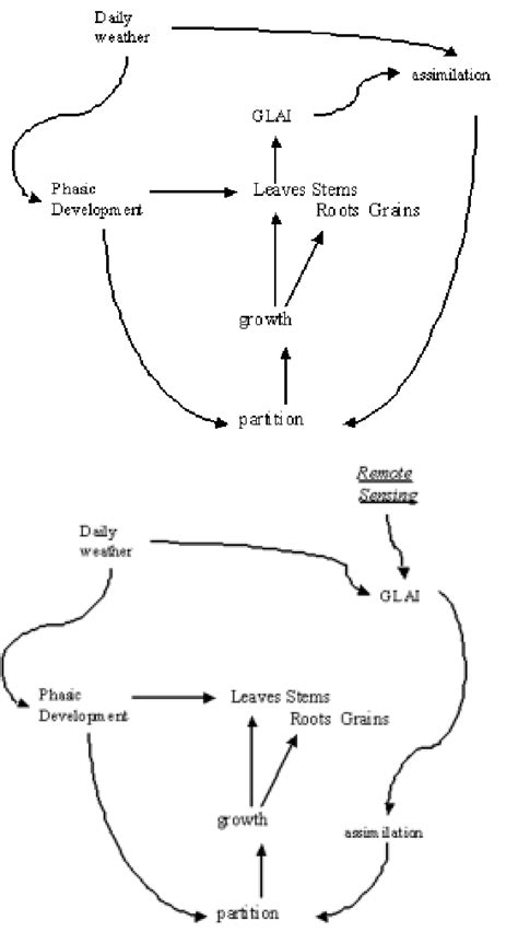 A Simple Schematic Of A Crop Simulation Model B Modified Download Scientific Diagram