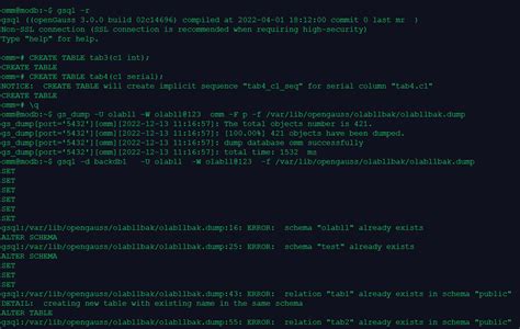 Opengauss每日一练第20天 逻辑备份和恢复 墨天轮