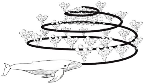 axioms free full text an interval type 2 fuzzy logic approach for dynamic parameter