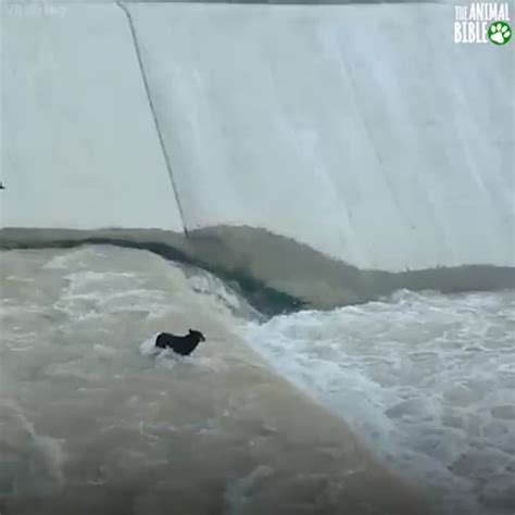 Aditya Jaiswal Posted On Linkedin