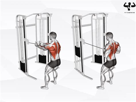 10 Functional Trainer Exercises For Strength With Free PDF FitDominium