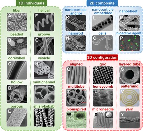 Emerging Polymeric Electrospun Fibers From Structural Diversity To Application In Flexible