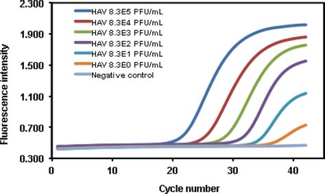 Amplification Of Hav Cdna In Real Time Rt Pcr Monitored By The Download Scientific Diagram