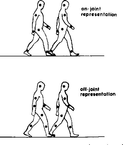 Figure From Coding Theory Adapted To Gait Perception Semantic Scholar