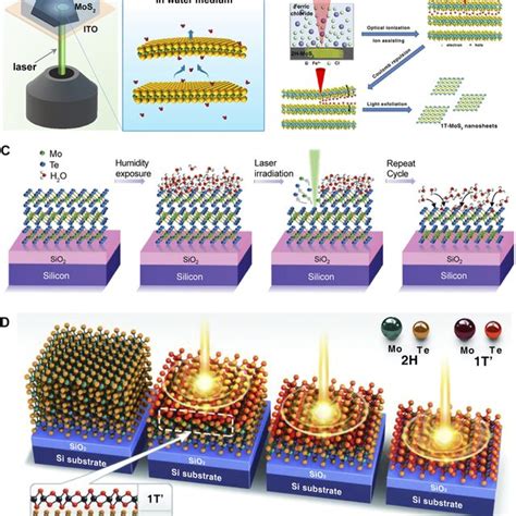 Top Down Synthesis Methods A Schematic Of The Laser Exfoliation Download Scientific Diagram