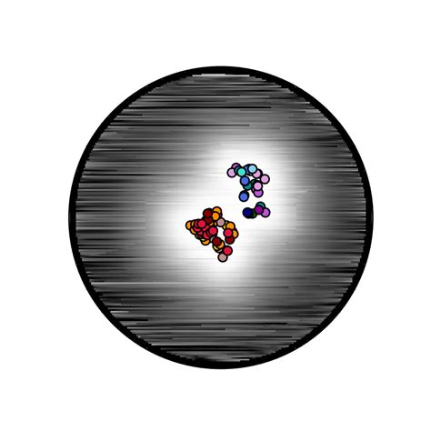 Embeddings Learned With Distortion Regularization A And C Display