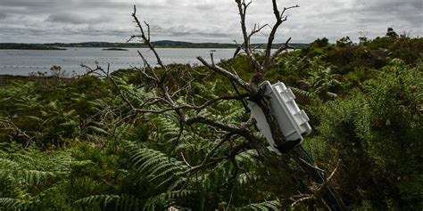 Sound The Alarm Data Sonification As A Tool For Climate Action Ableton