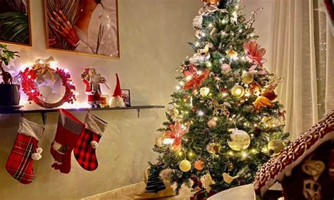 Bradul De Crăciun Ce Semnifică Pomul De Iarnă împodobit în Case Sau în Localități Tradiții De