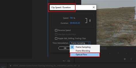 Frame Interpolation In Premiere Pro Beginners Guide