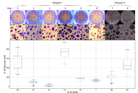 Figure 1 From Automated Quantification Of Human Osteoclasts Using
