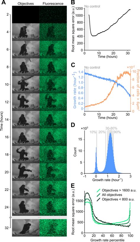 Control Performance Against Arbitrary Complex Objectives Is Limited By Download Scientific