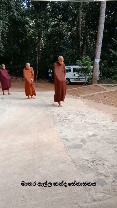 ඒ තථාගතයාණන් වහන්සේගේ ශ්‍රාවක සංඝ රත්නය කිත් පැසසුම් ආසාවන් නැත්තේය නිවනම අරමුණු කරගනී Youtube