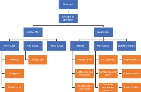 Classification Of A Biosensor Based On The Bio Recognition Receptors Download Scientific