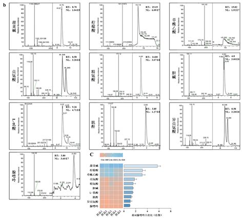 论文荐读 江南大学王刚团队：基于肠道类器官解析益生菌调节肠嗜铬细胞合成5 Ht的效应物质 知乎