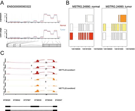 Examples Of Differential Splicing Sites In Tumor And Normal Conditions Download Scientific