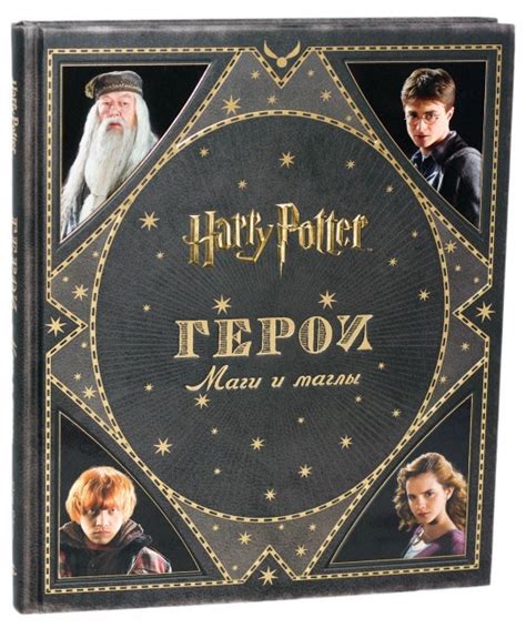 Гарри Поттер. Герои. Маги и Маглы — Купить Недорого на Bigl.ua (1671520324)