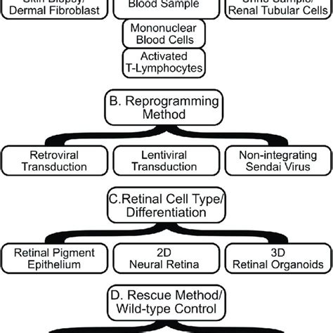 Sources Of Variability In Disease Modelling A Selection Of A Somatic Download Scientific