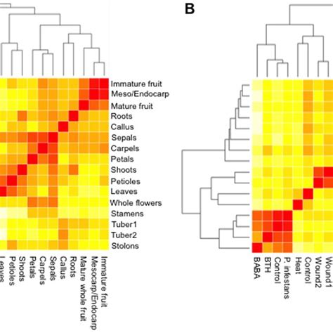 cluster heat map of gene expression data the hierarchical clustering
