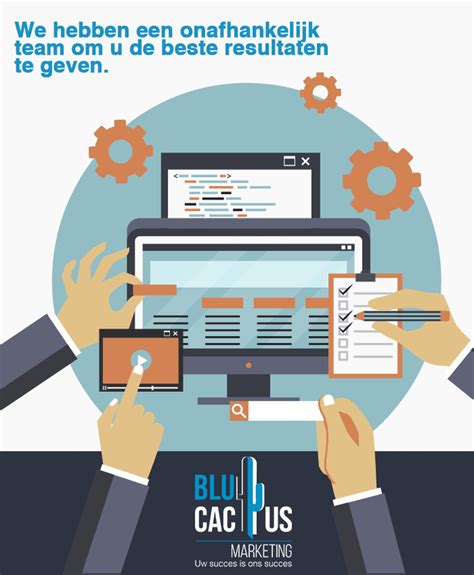 Software Op Maat Blucactus Sofware Ontwikkeling Bedrijf Amsterdam