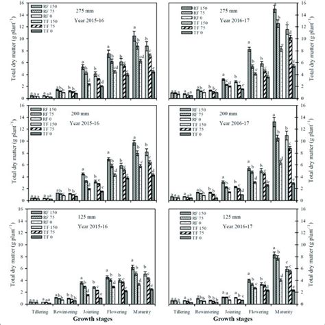 Effects Of Planting Patterns And Deficit Irrigation On Total Dry