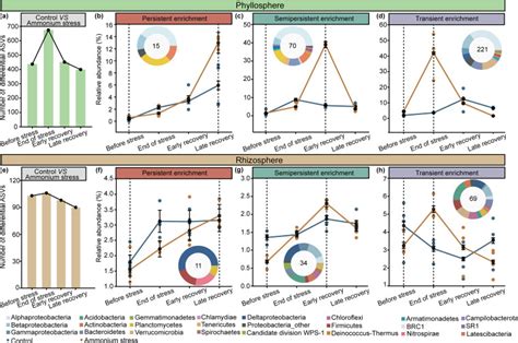 Niche Specific Restructuring Of Bacterial Communities Associated With Submerged Macrophyte Under