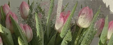 Знакомства Москва Если ищете долгосрочные отношения пишите о ваших ценностях интересах и о