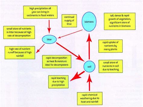 C2 Communities And Ecosystems Biology Portfolio