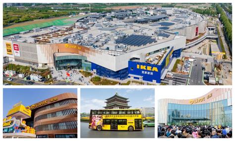 Alireza Mobasheri On Linkedin 💥big Kudos To My Colleagues In China And Around The World For