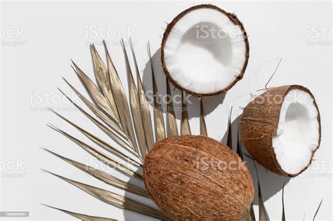 신선한 전체와 깨진 조각 햇볕이 잘 드는 대조 그림자가있는 열대 코코넛 너트 밝은 회색 배경 상단보기의 골드 야자 잎 창조적 인 여름 음식 배경 이국적인 유기농 건강