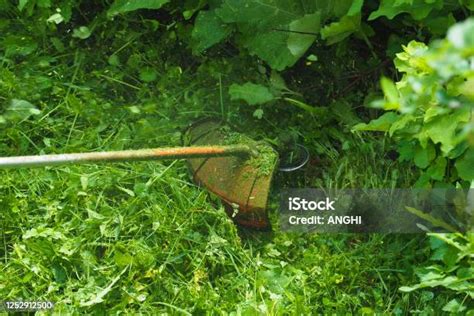 도시 공원이나 뒷마당에서 손 깎는 기계로 잔디 손질 과정 원예 관리 도구 및 장비 잔디 깎기에 대한 스톡 사진 및 기타 이미지 잔디 깎기 수리 초원 Istock
