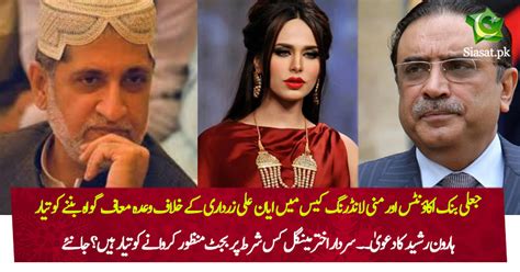 Ayan Ali Can Become Approver Against Asif Zardari In Fake Accounts Case