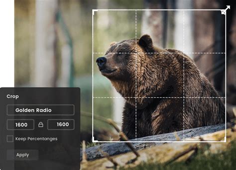 Как обрезать фотографию в Css Как обрезать фотографию в Css