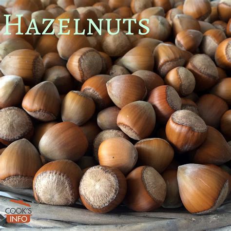 Hazelnut To Honey Shaded Cashmere And Silk Wrap