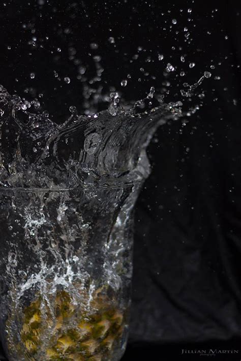 we love shutter speed click love grow