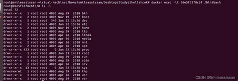 Docker如何进入容器中sudo Docker Exec It Csdn博客