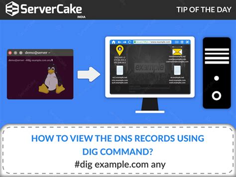 How To View The Dns Records Using Dig Command Servercake