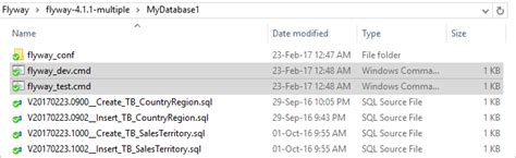 flyway command line easy setup the privilege of making the wrong choice