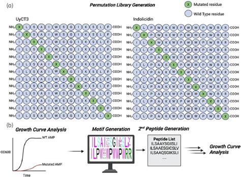 Methodology For Systematic Evolution Of Antimicrobial Peptides A Download Scientific Diagram