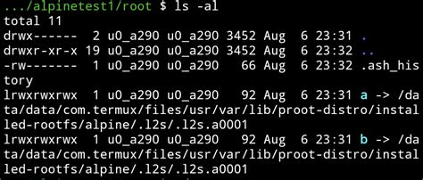 Bug Renaming An Alias Breaks Some Executables Cannot Execute