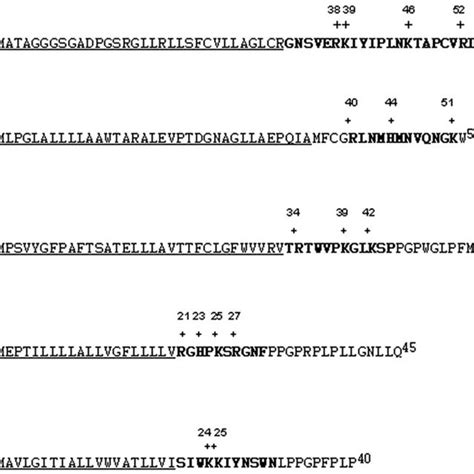 Mitochondrial Targeting Sequence In Nct The First 60 N Terminal Amino