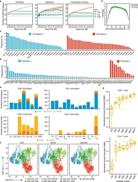 Rnaseq Tpm
