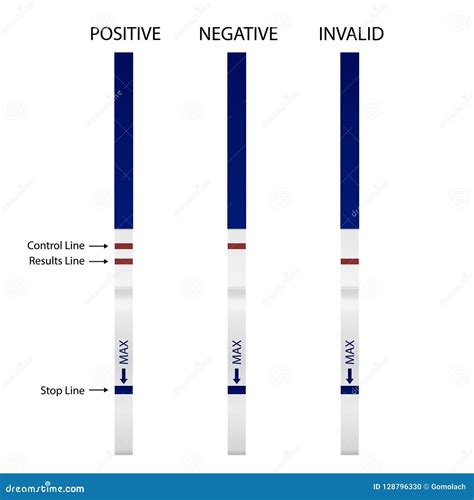 Vector Realistic 3d Pregnancy Test Strip With Positive Negative And