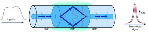 13 Singlemode Multimode Singlemode Sms Multimodal Interferometer Download Scientific Diagram