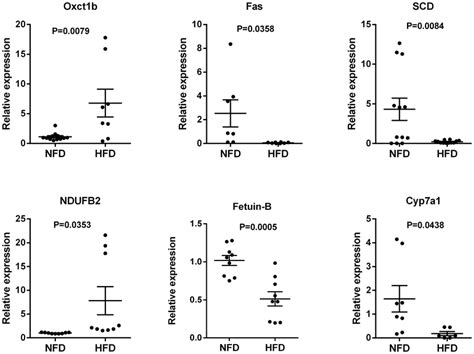 Quantitative Reverse Transcriptase Polymerase Chain Reaction Validation Download Scientific