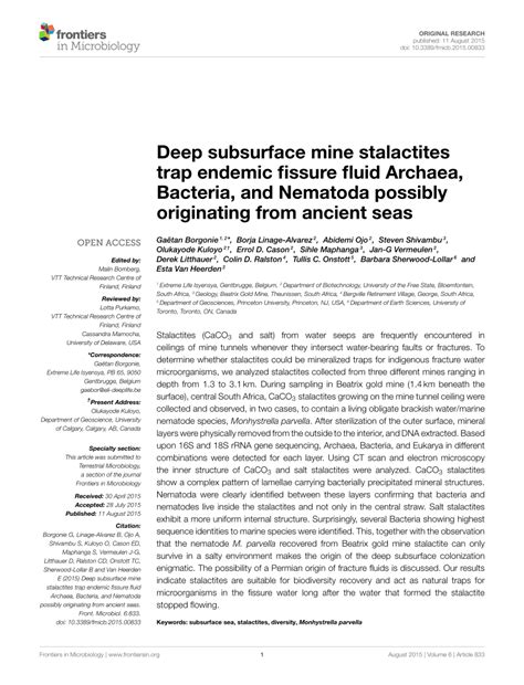 Pdf Deep Subsurface Mine Stalactites Trap Endemic Fissure Fluid Archaea Bacteria And