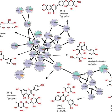 Feature Based Molecular Networking Fbmn And Network Annotation Download Scientific Diagram